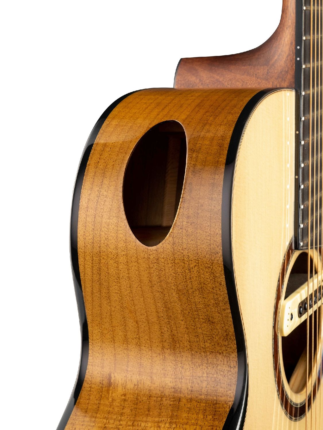 CORT Cut-Craft-Limited-WCASE-N Limited Edition - купить в Музторге ...