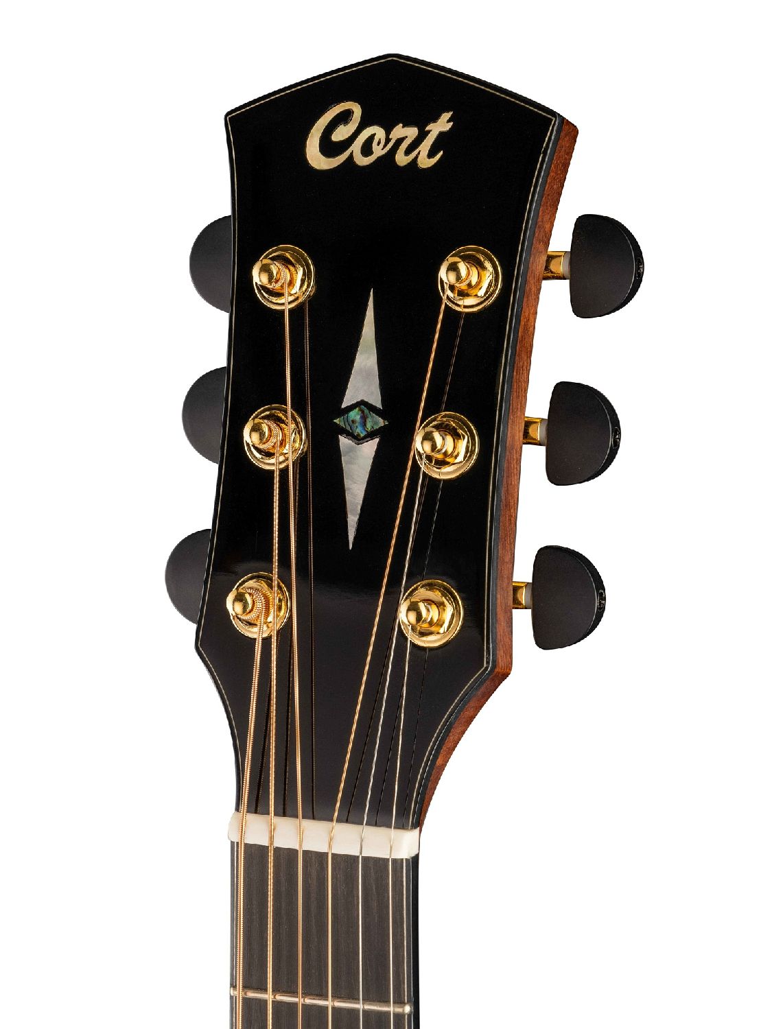 CORT Cut-Craft-Limited-WCASE-N Limited Edition - купить в Музторге ...